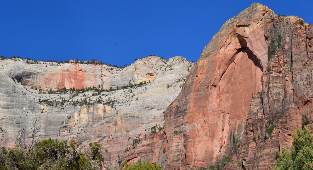 Parc national de Zion: le parc qui mérite plus de temps! - French ...