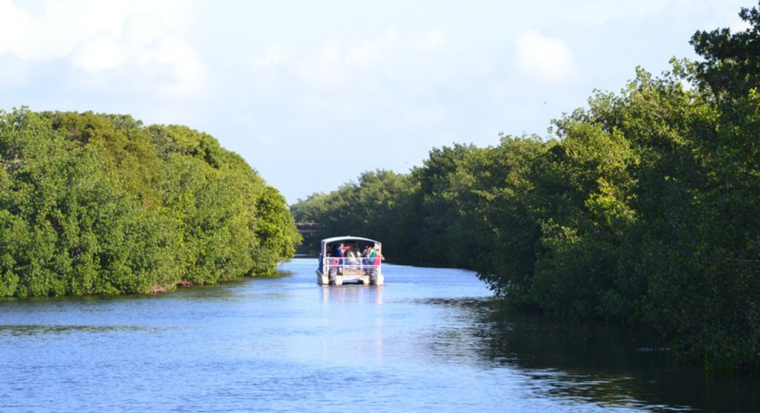 Parc national des Everglades: Au cœur des marécages sauvages - French ...