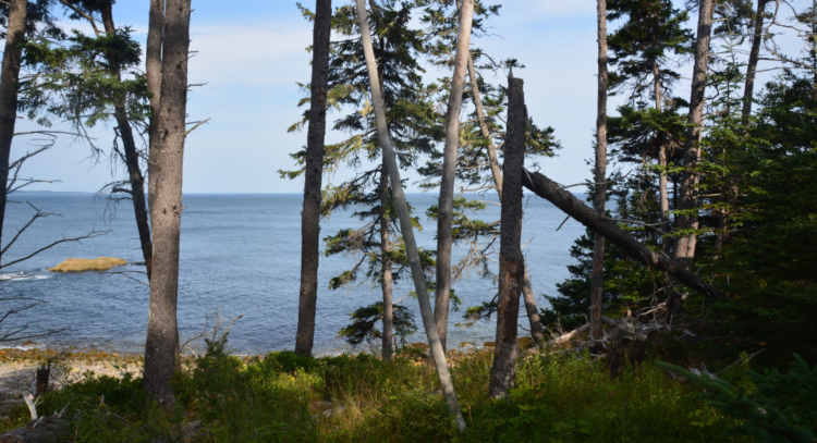 Parc National Dacadia Le Meilleur De La Montagne Et De Locéan