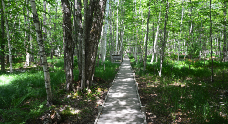 Parc National Dacadia Le Meilleur De La Montagne Et De Locéan