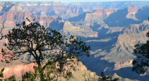 Parc national du Grand Canyon: le plus beau lever de soleil - French Morning US