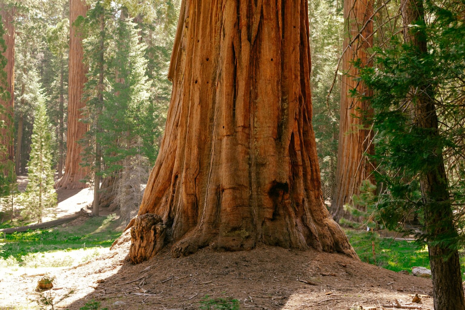Parc national de Sequoia et Kings Canyon, terres des géants rouges ...