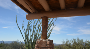 Parc national de Saguaro: Des cactus à perte de vue - French Morning US