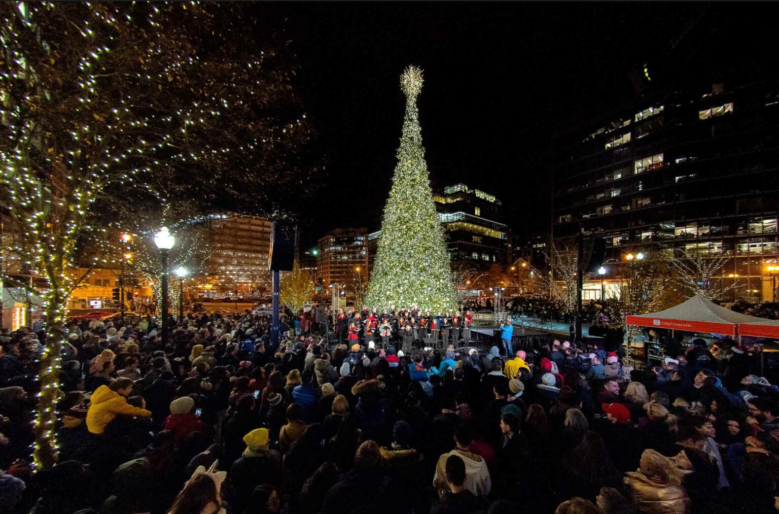 Où voir des illuminations de Noël à Washington ? - French Morning US